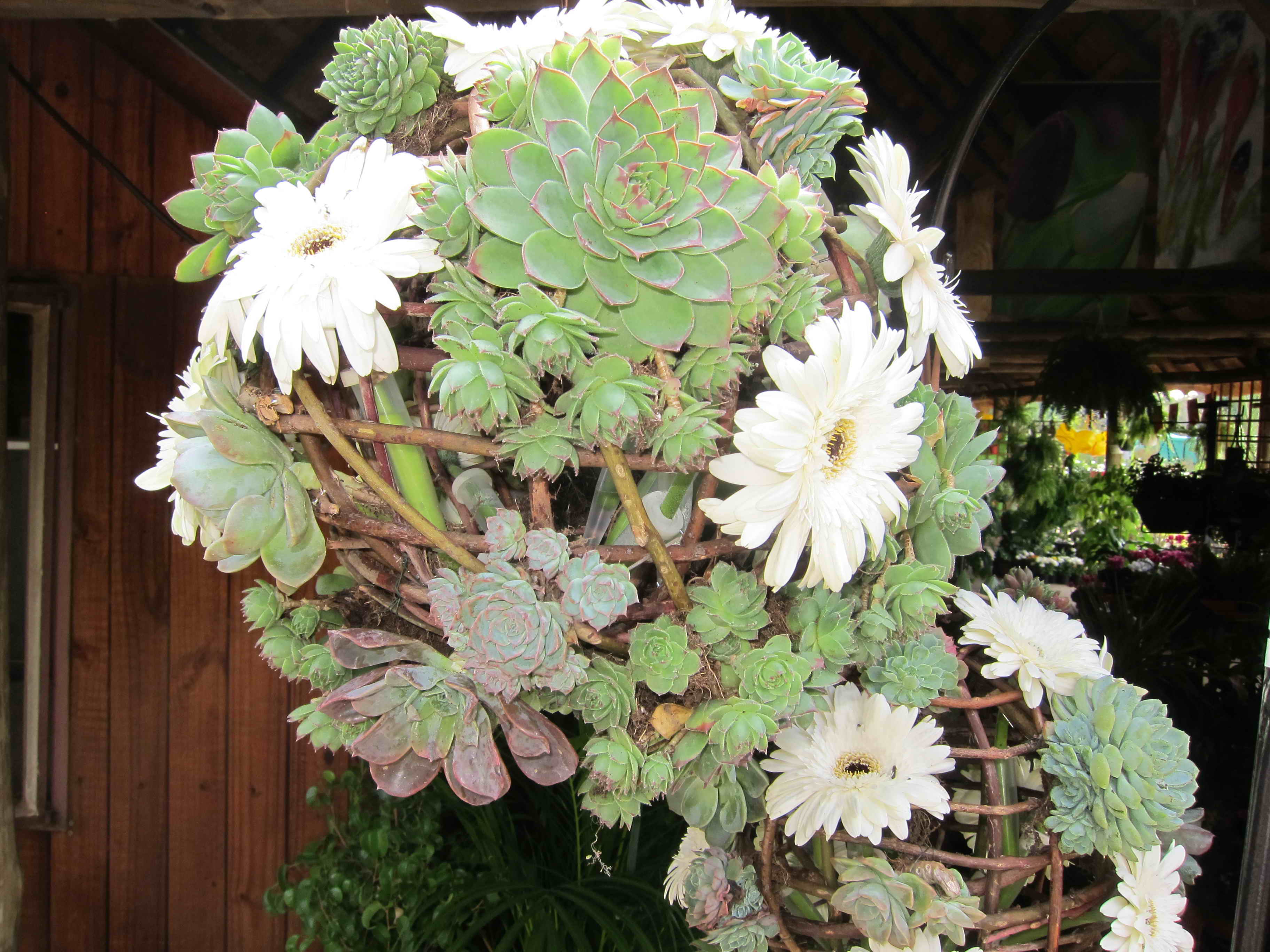 Green Living: Decorative Balls for Parties and Weddings - Greenmoxie™