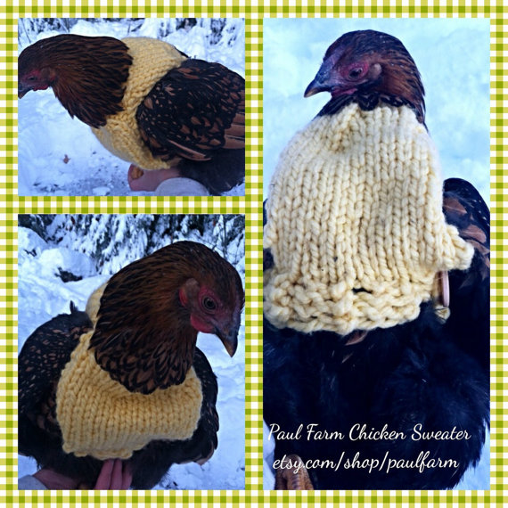 Brilliant Christmas Gifts for Stylish Chickens - Greenmoxie™