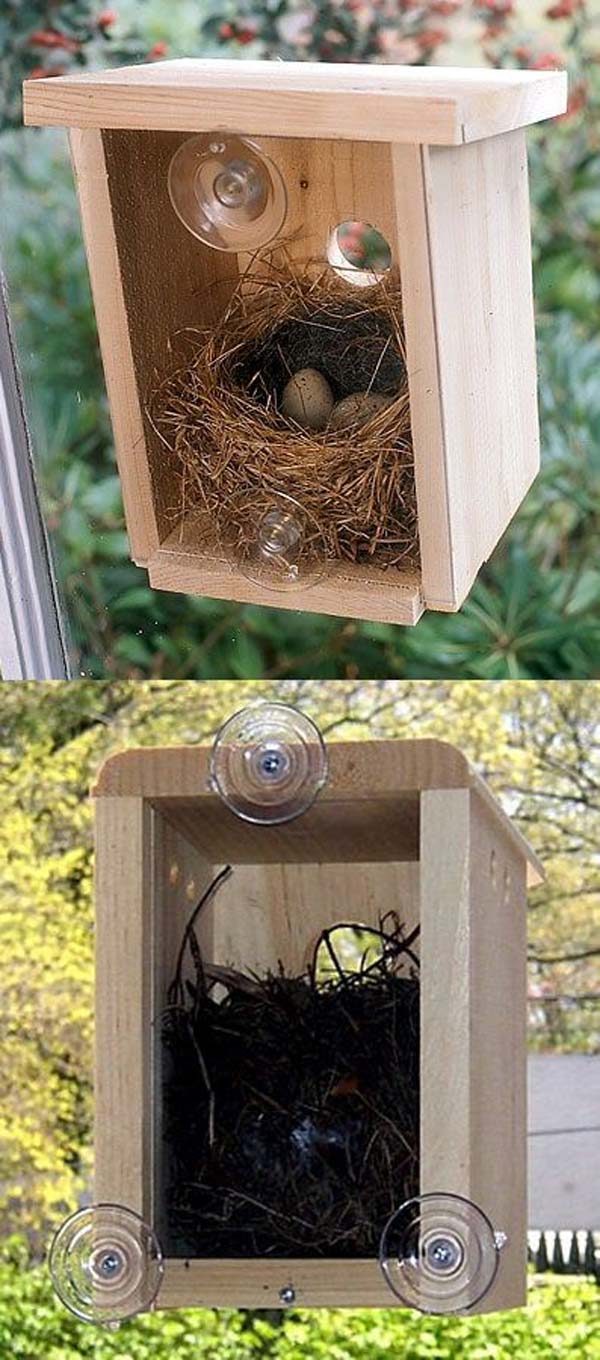 DIY Window Bird House