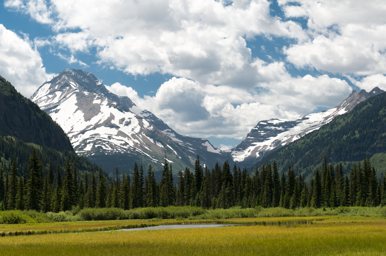 6 Unique Montana Vacations