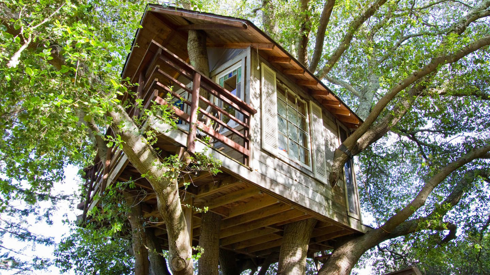 Tiny home treehouse
